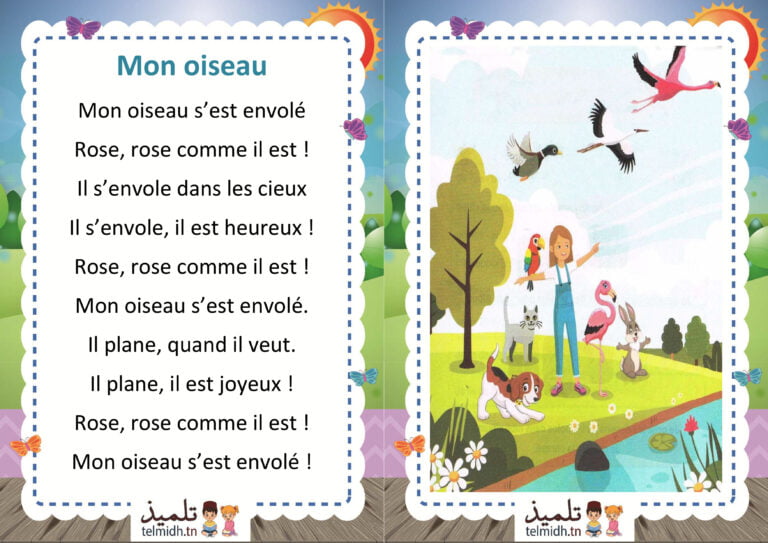 mon oiseau - Telmidh